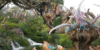 First Look: Pandora - The World of Avatar at Disney's Animal Kingdom