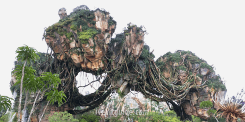 First Look: Pandora - The World of Avatar at Disney's Animal Kingdom